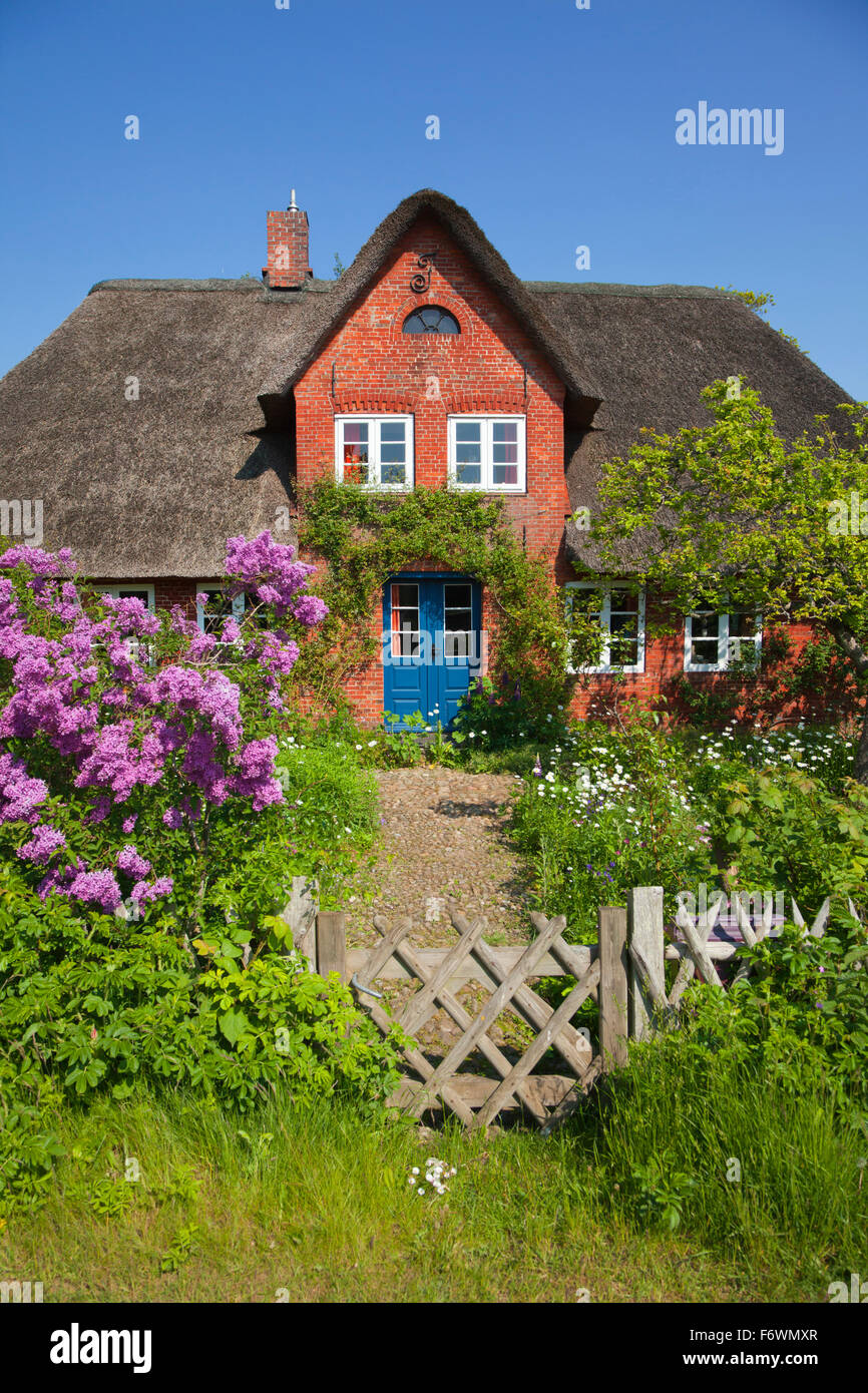 Lilac building hi-res stock photography and images - Alamy