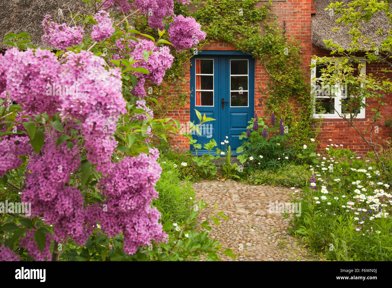 Lilac house hi-res stock photography and images - Alamy