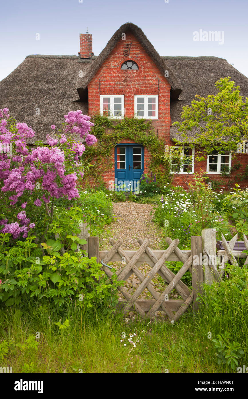 Lilac house hi-res stock photography and images - Alamy