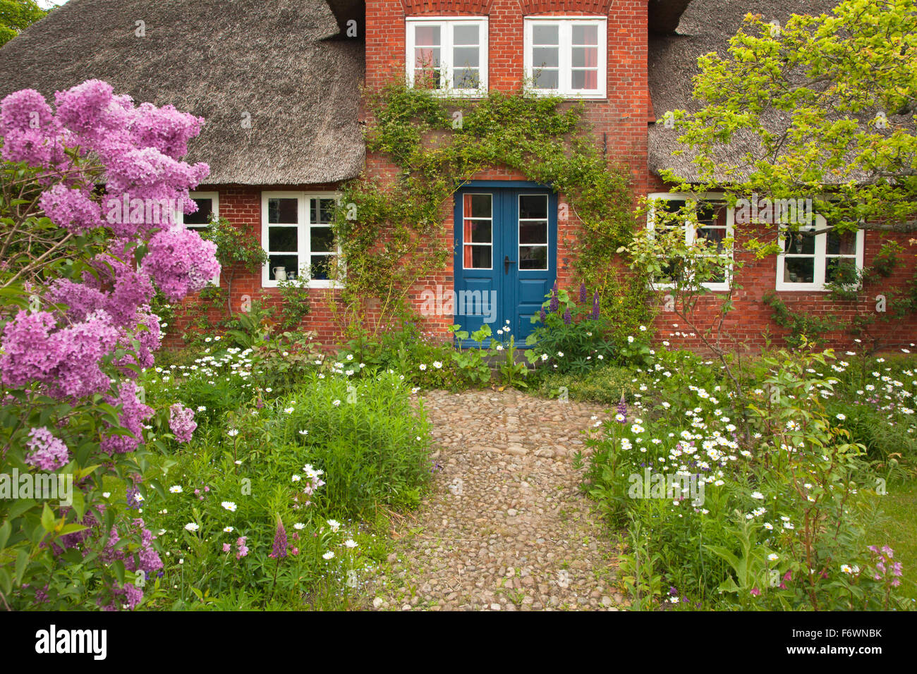 Lilac house hi-res stock photography and images - Alamy
