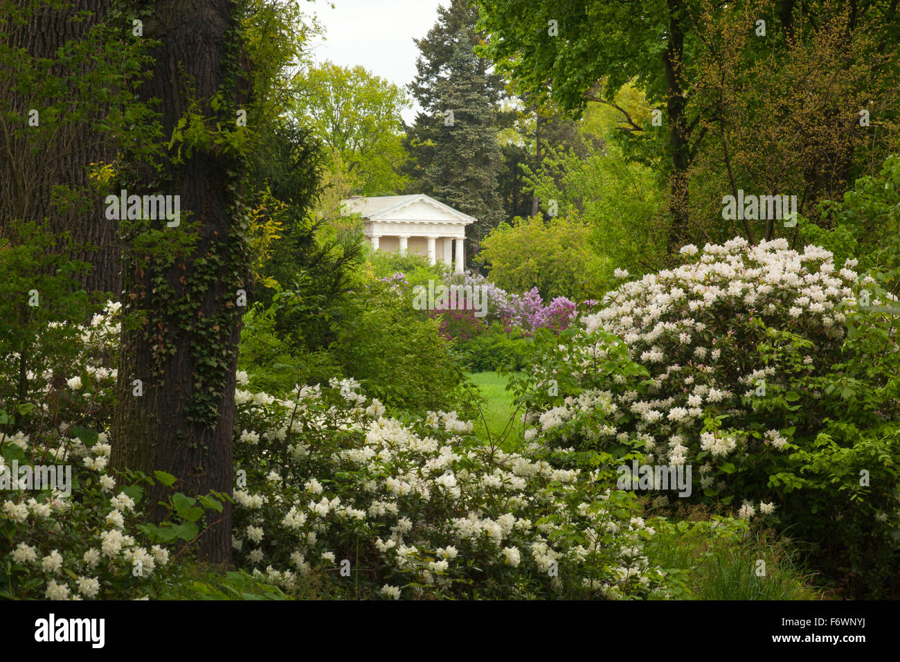 Temple of Flora, Woerlitz, UNESCO world heritage Garden Kingdom of ...