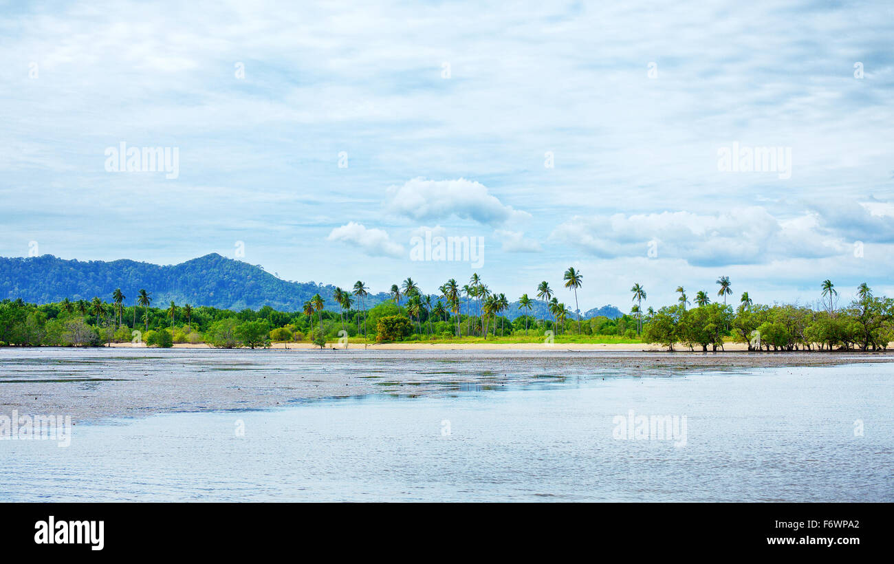 thai landscape with beach and green palms Stock Photo - Alamy
