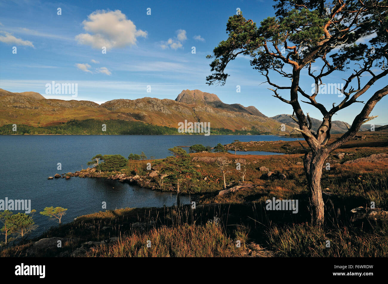 Loch Maree, Highlands, Scotland, Great Britain Stock Photo - Alamy