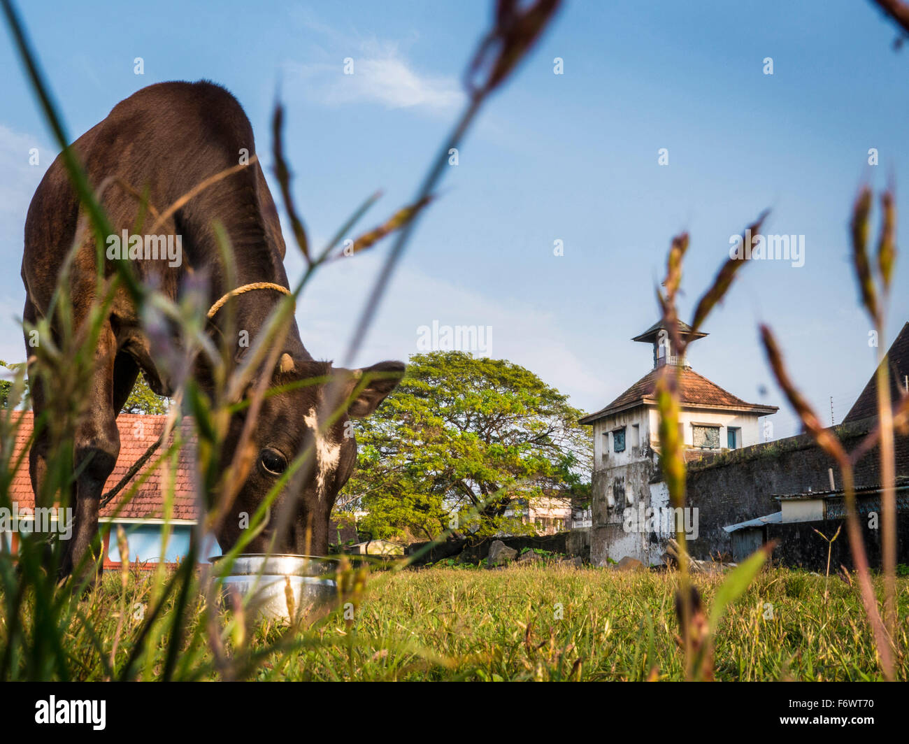 Paradesi Synagogue, Kochi, Kerala, India Stock Photo - Alamy