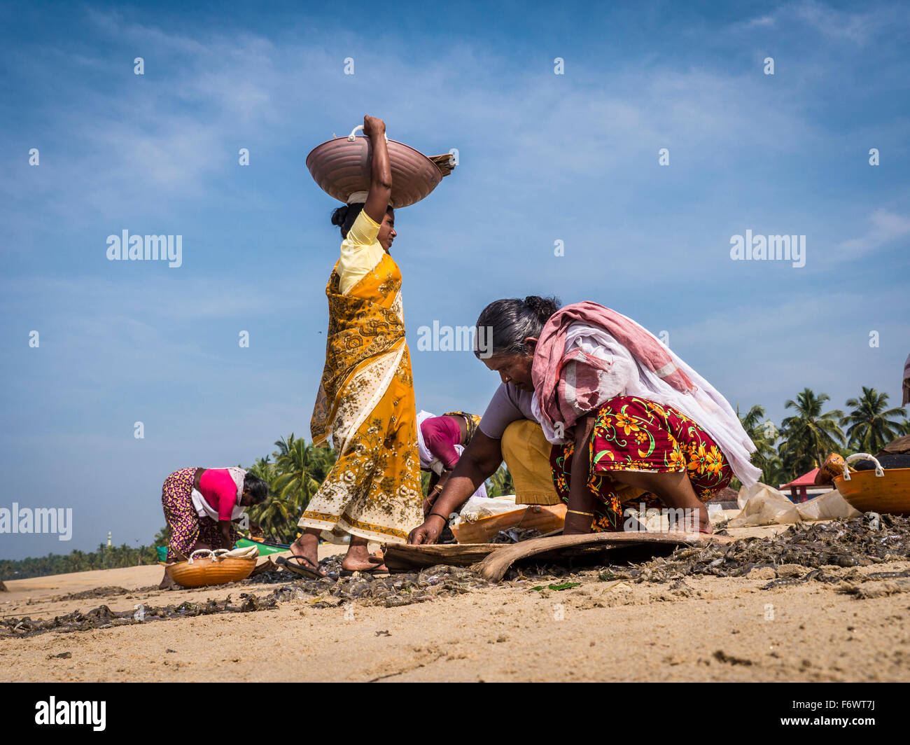 Women sorting hi-res stock photography and images - Alamy