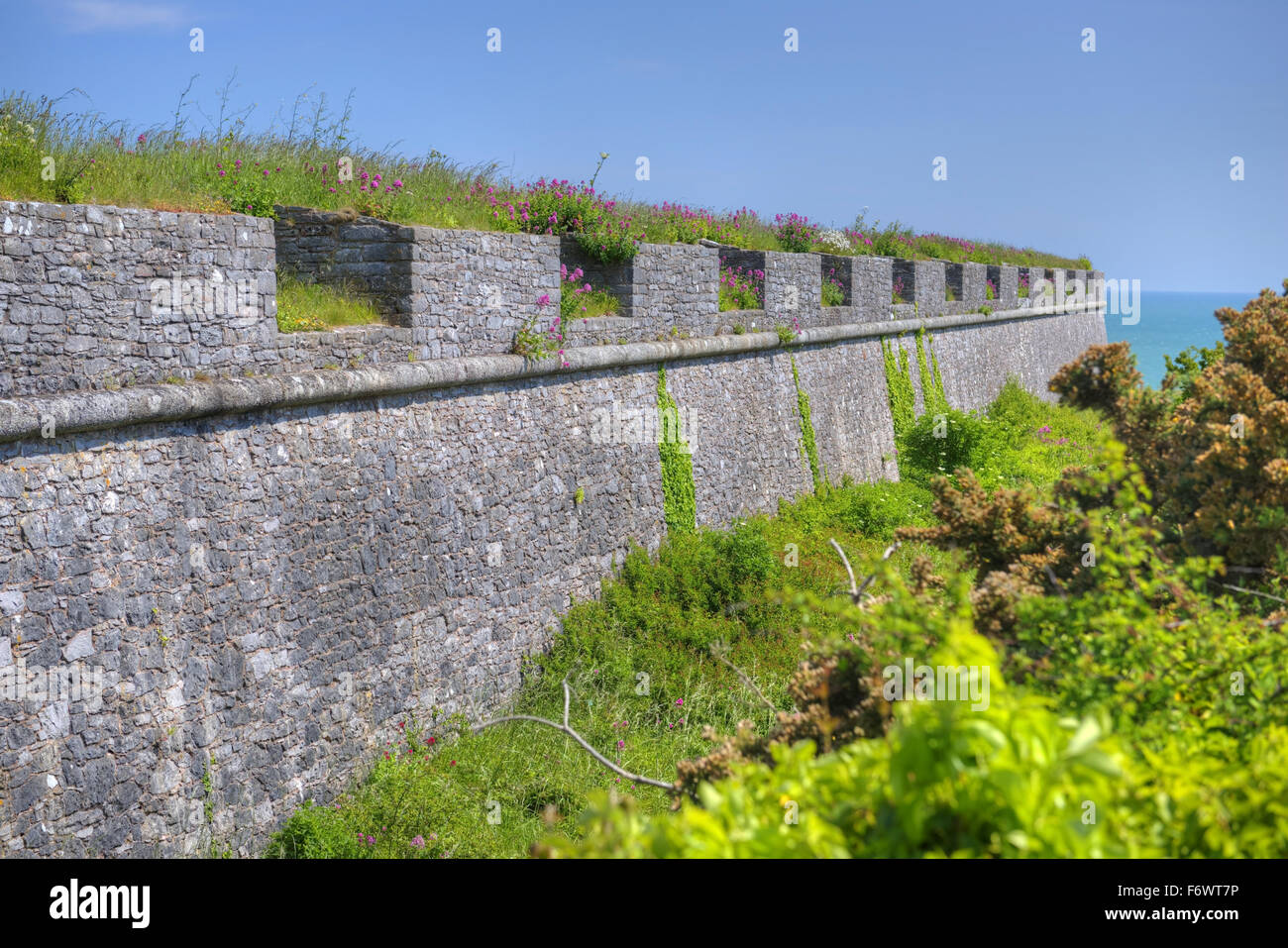 Berry head hi-res stock photography and images - Alamy