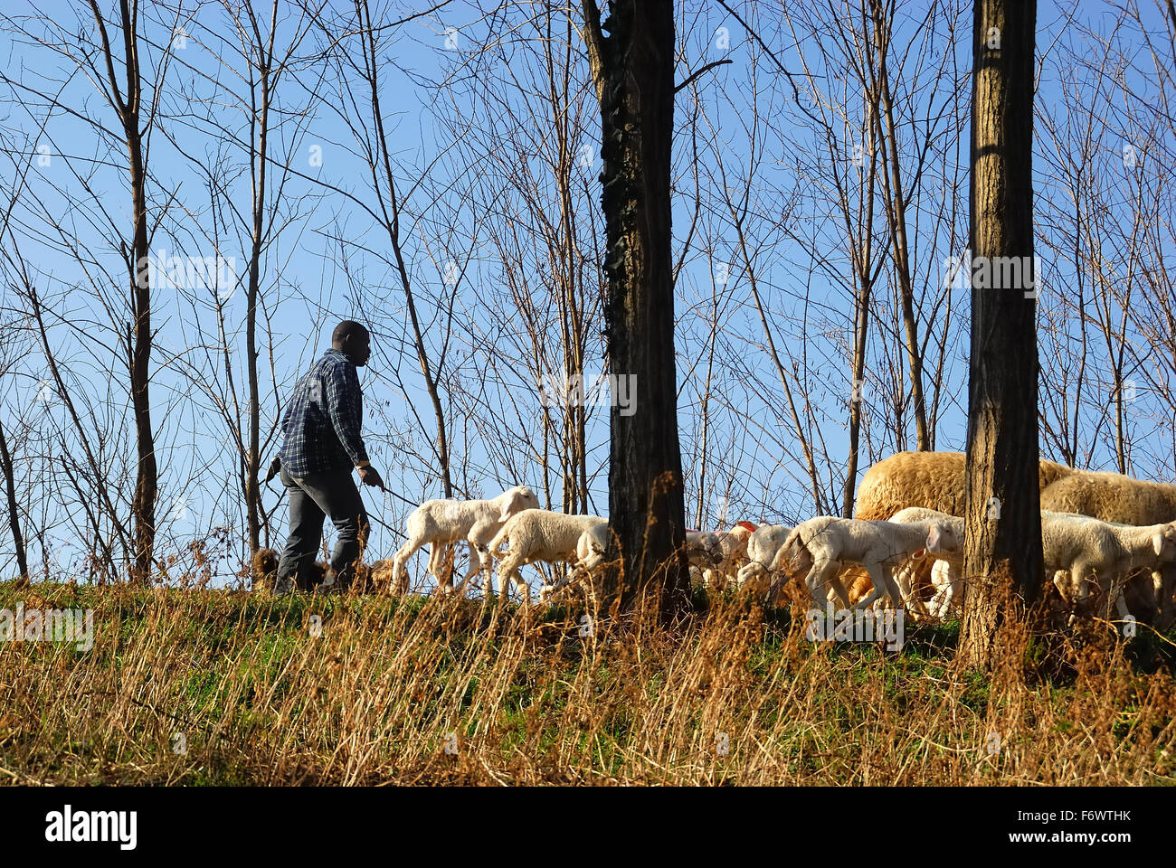 Transhumant hi-res stock photography and images - Alamy