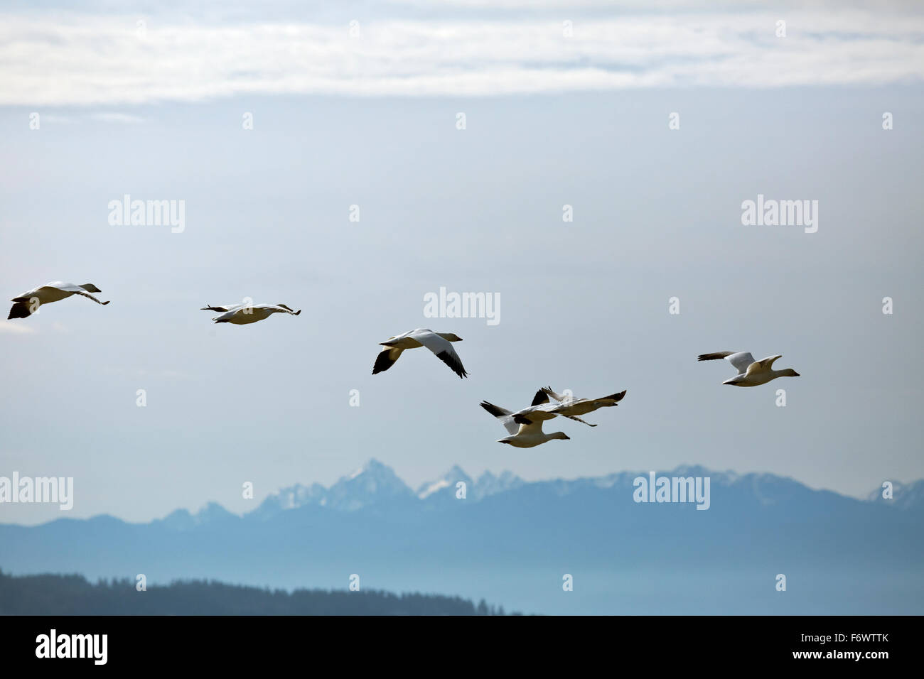 Skagit range mountains hi-res stock photography and images - Alamy