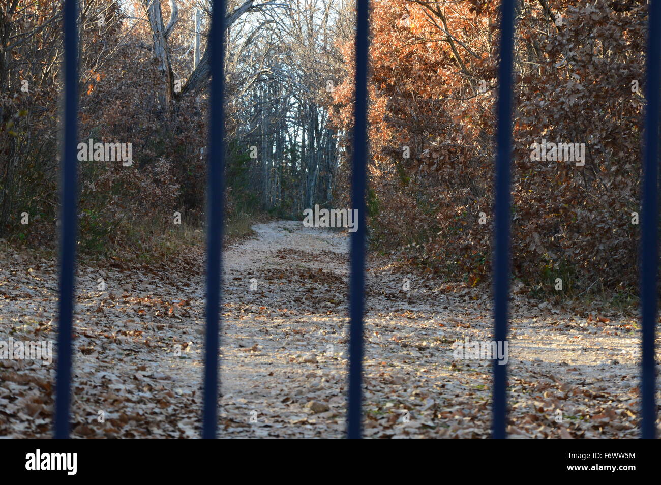 A gate in the nature Stock Photo - Alamy