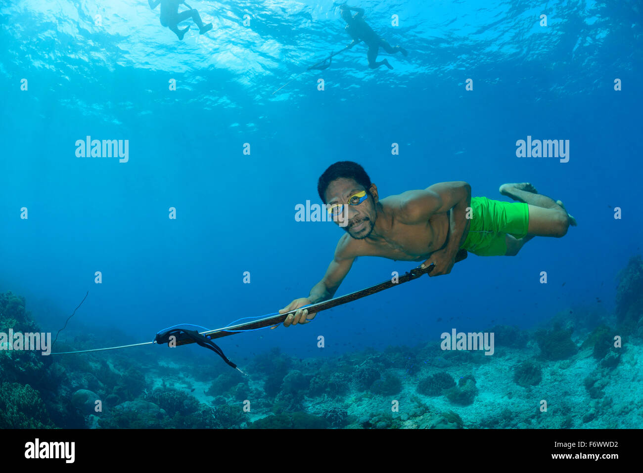 Local Spearfisherman diving under water, Alor Archipelago, Indonesia ...
