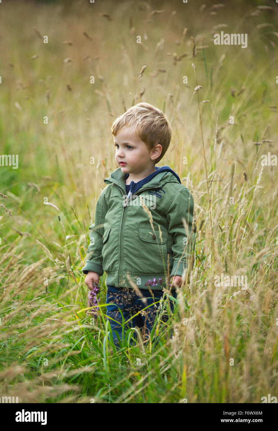 Portrait of a cute little boy out in the countryside Stock Photo - Alamy
