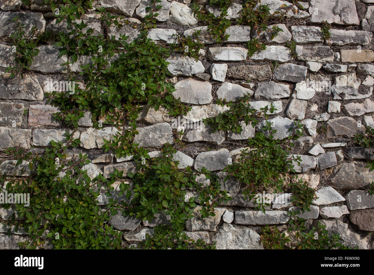 ancient stone wall Stock Photo - Alamy