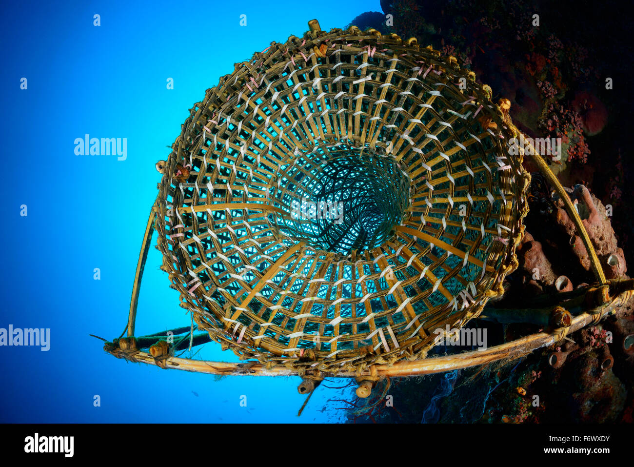 Alor indonesia archipelago hi-res stock photography and images - Alamy