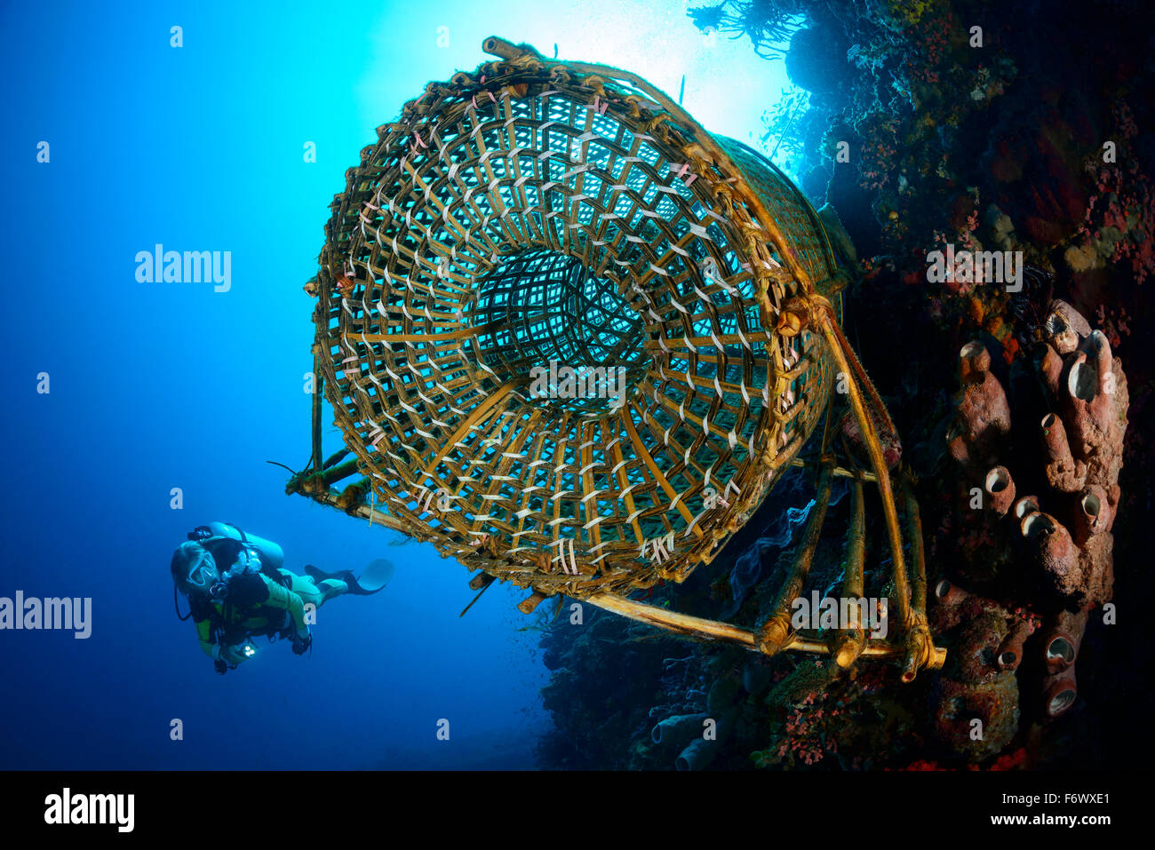 Alor indonesia archipelago hi-res stock photography and images - Alamy