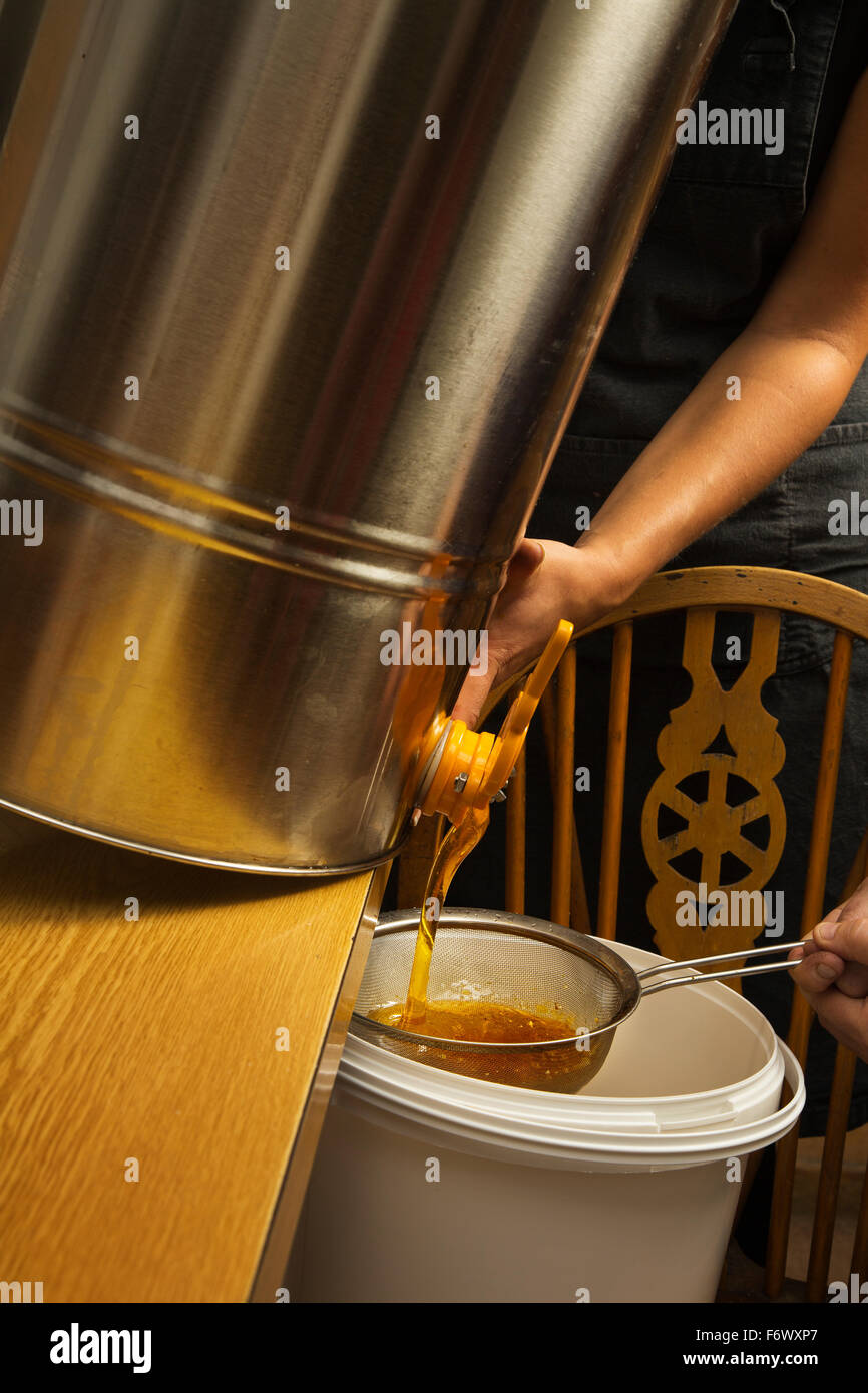 Bee keeping,honey production Stock Photo - Alamy