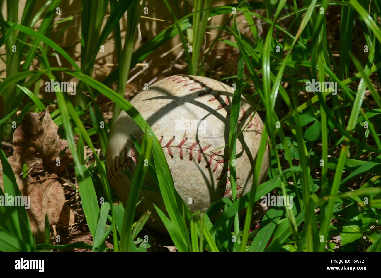 Baseball in hi-res stock photography and images - Alamy