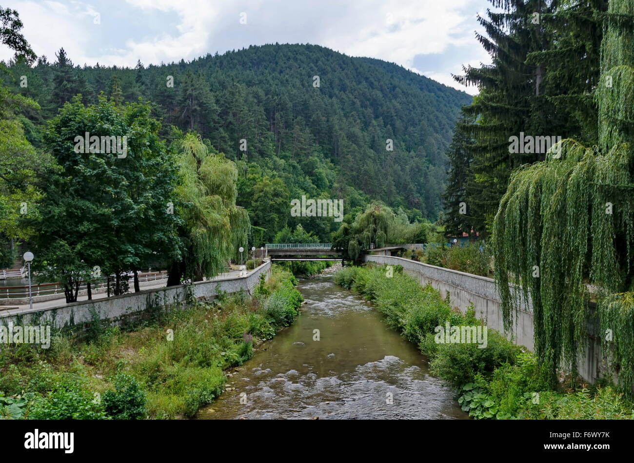 View toward river with bridge and highly varied plant, Chepinska reka ...