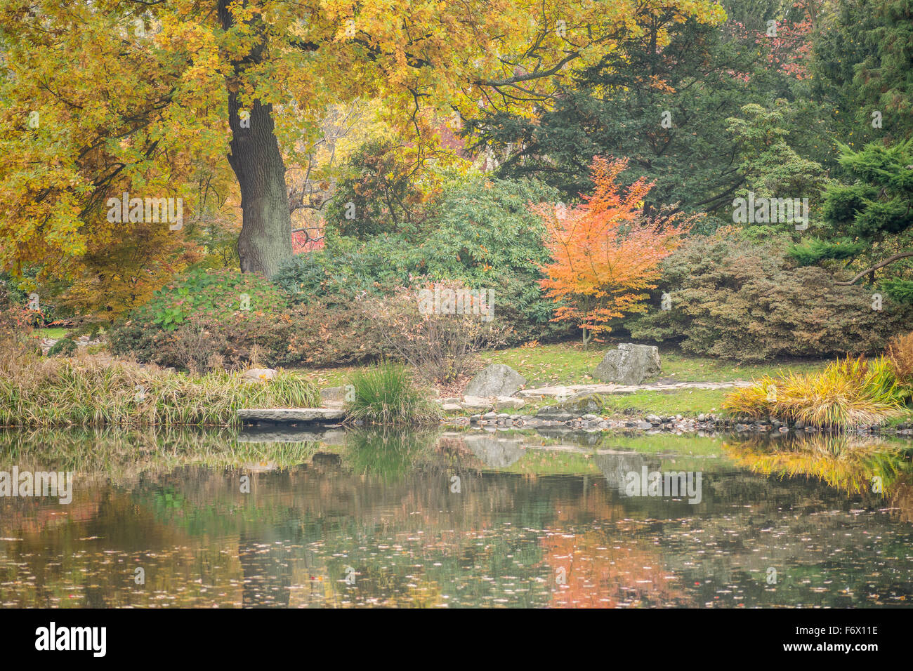 Japanese garden water trees hi-res stock photography and images - Alamy