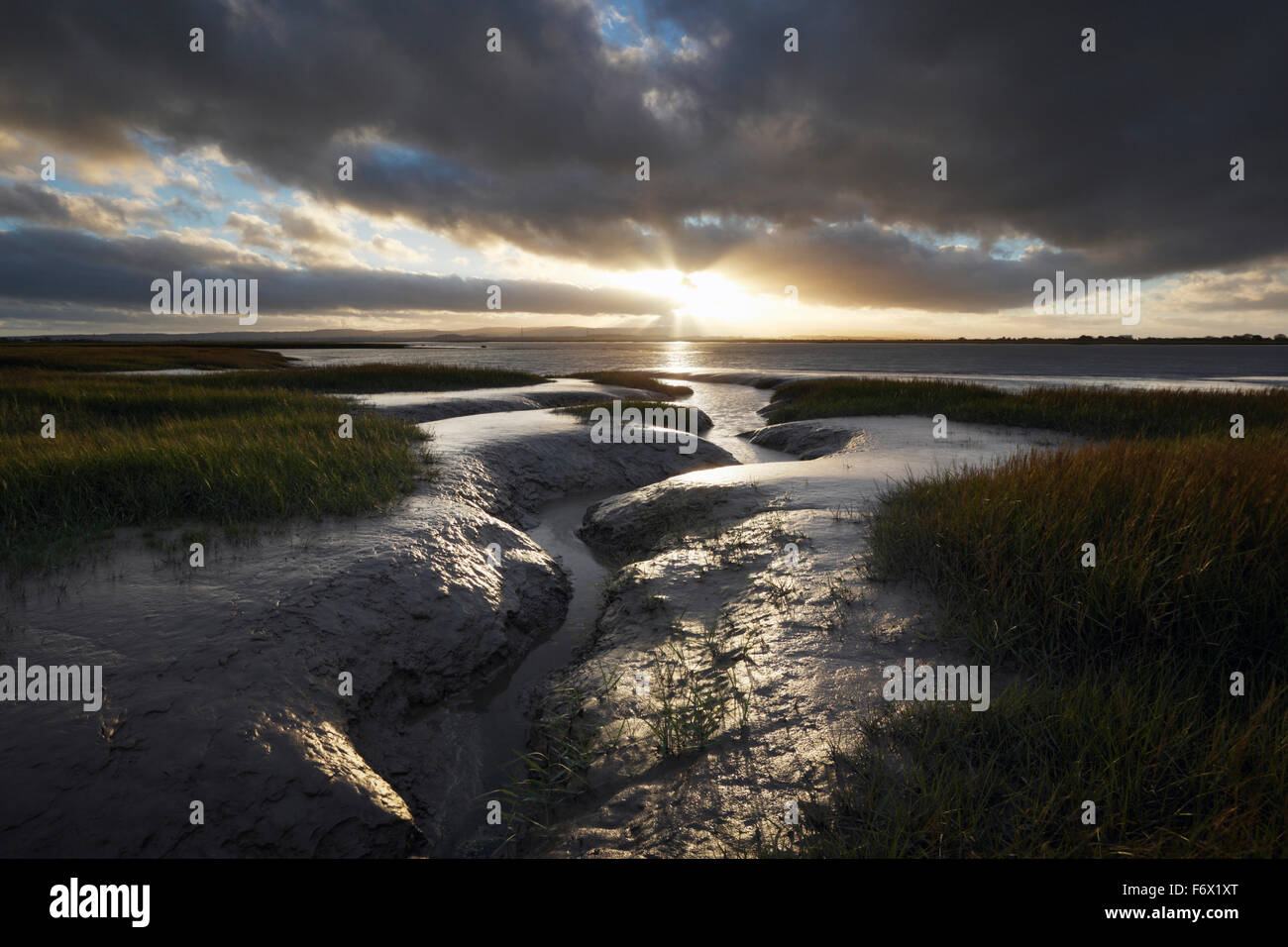 Channel. River Parrett Estuary. Somerset. UK Stock Photo - Alamy