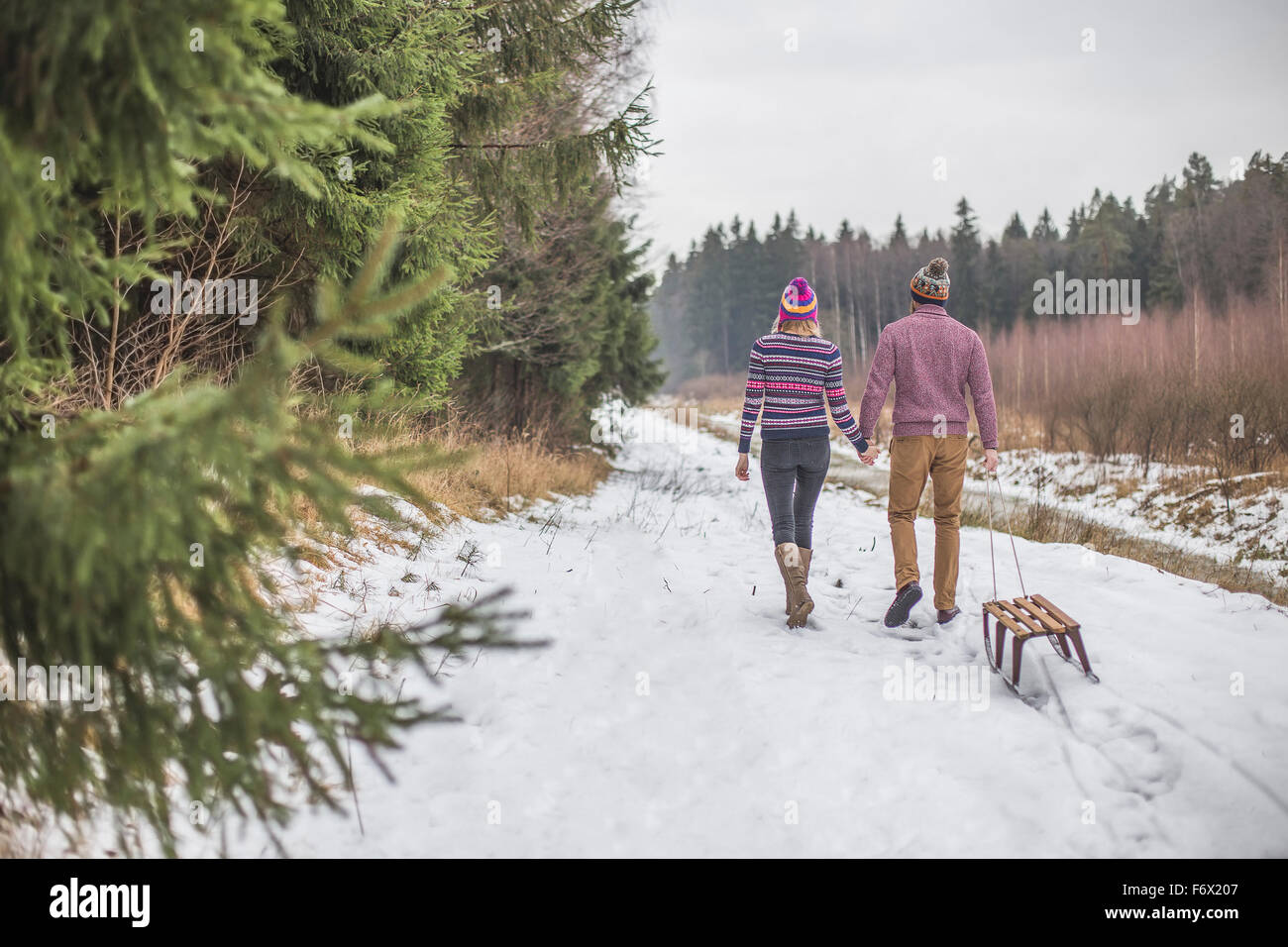 Young couple having a slaigh winter forest walk Stock Photo - Alamy
