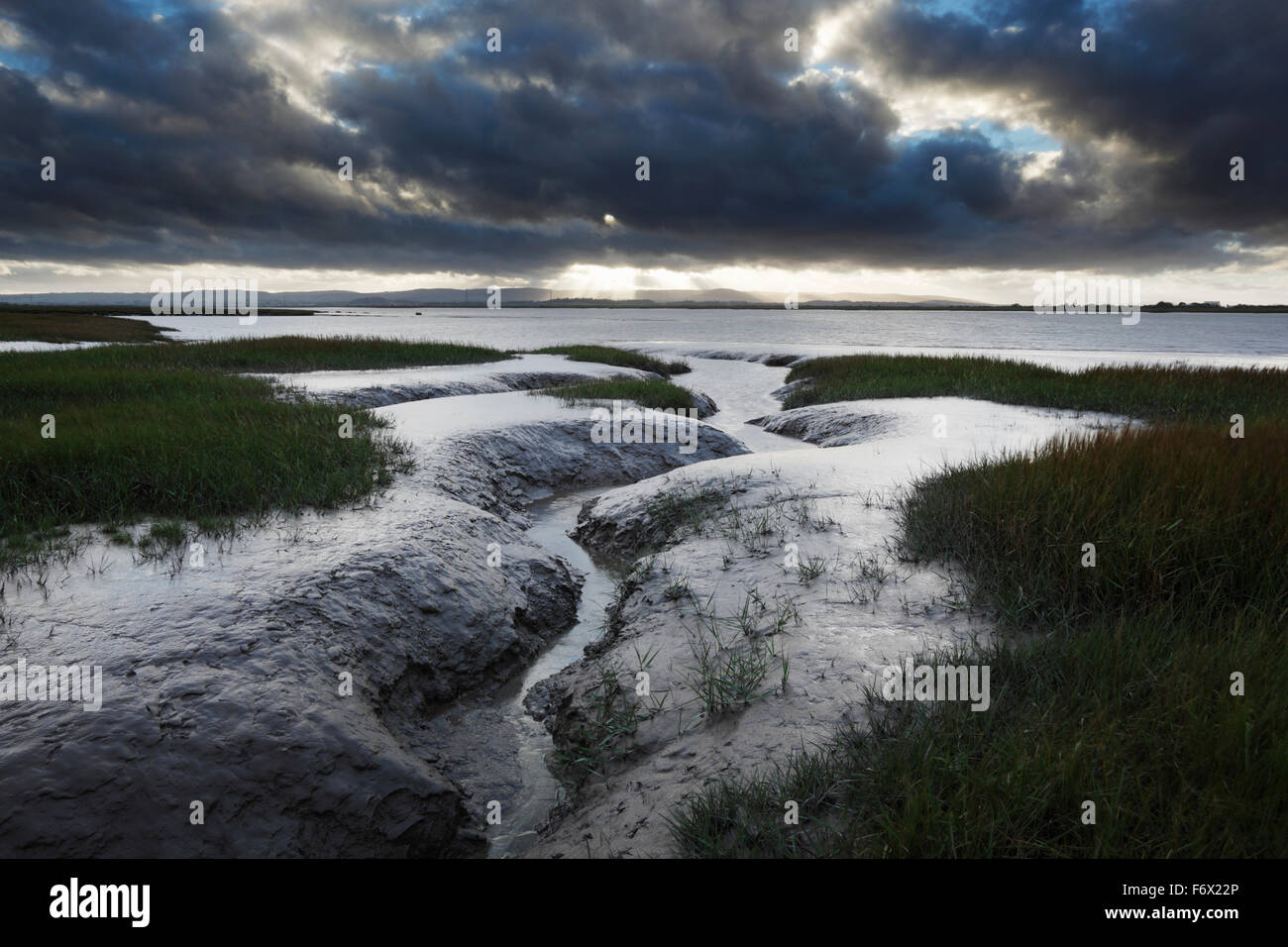 Channel. River Parrett Estuary. Somerset. UK Stock Photo - Alamy
