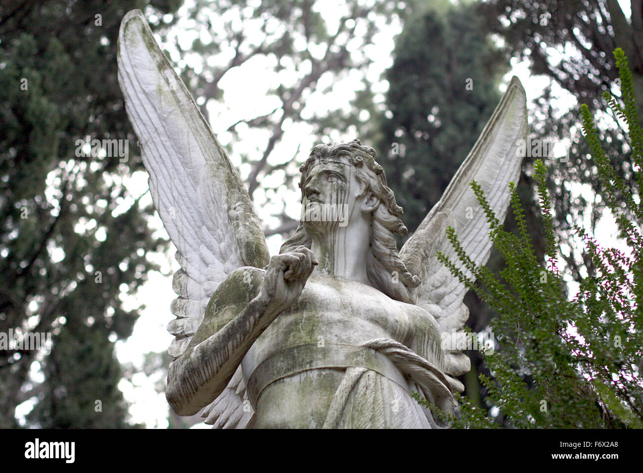 Angel pose hi-res stock photography and images - Alamy