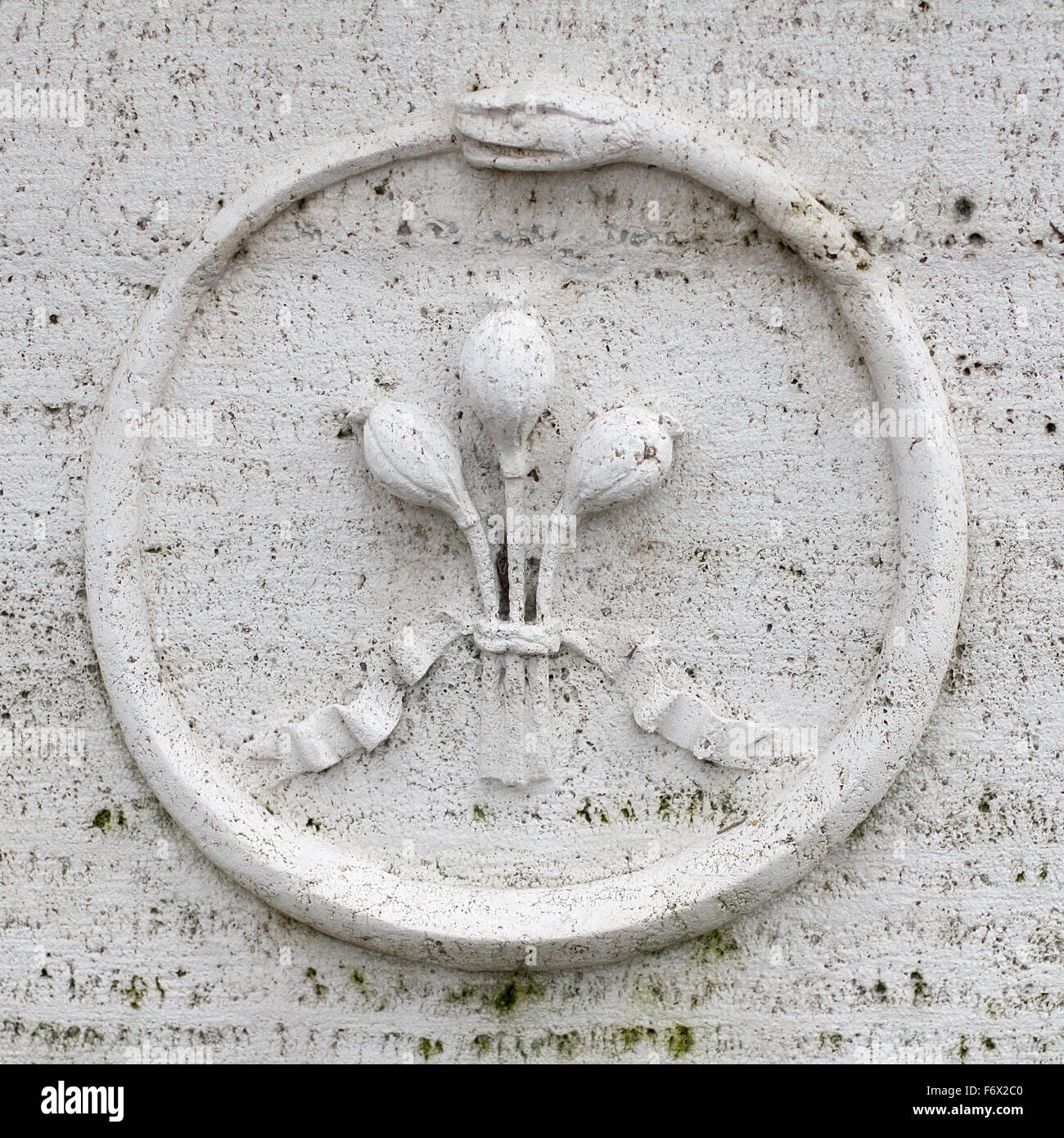 Ouroboros serpent hi-res stock photography and images - Alamy