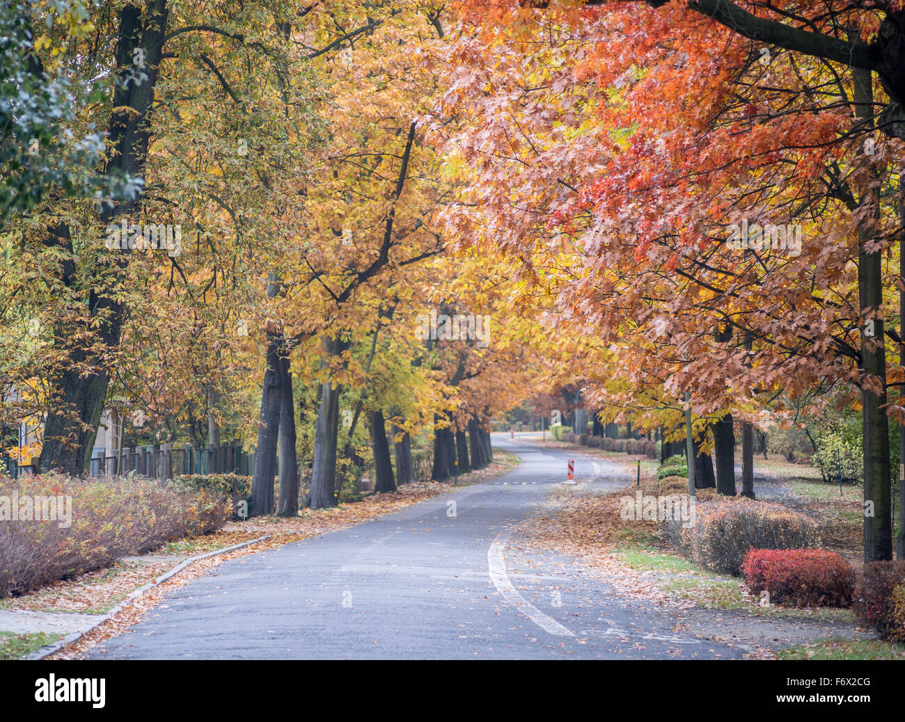 City street in autumn hi-res stock photography and images - Alamy