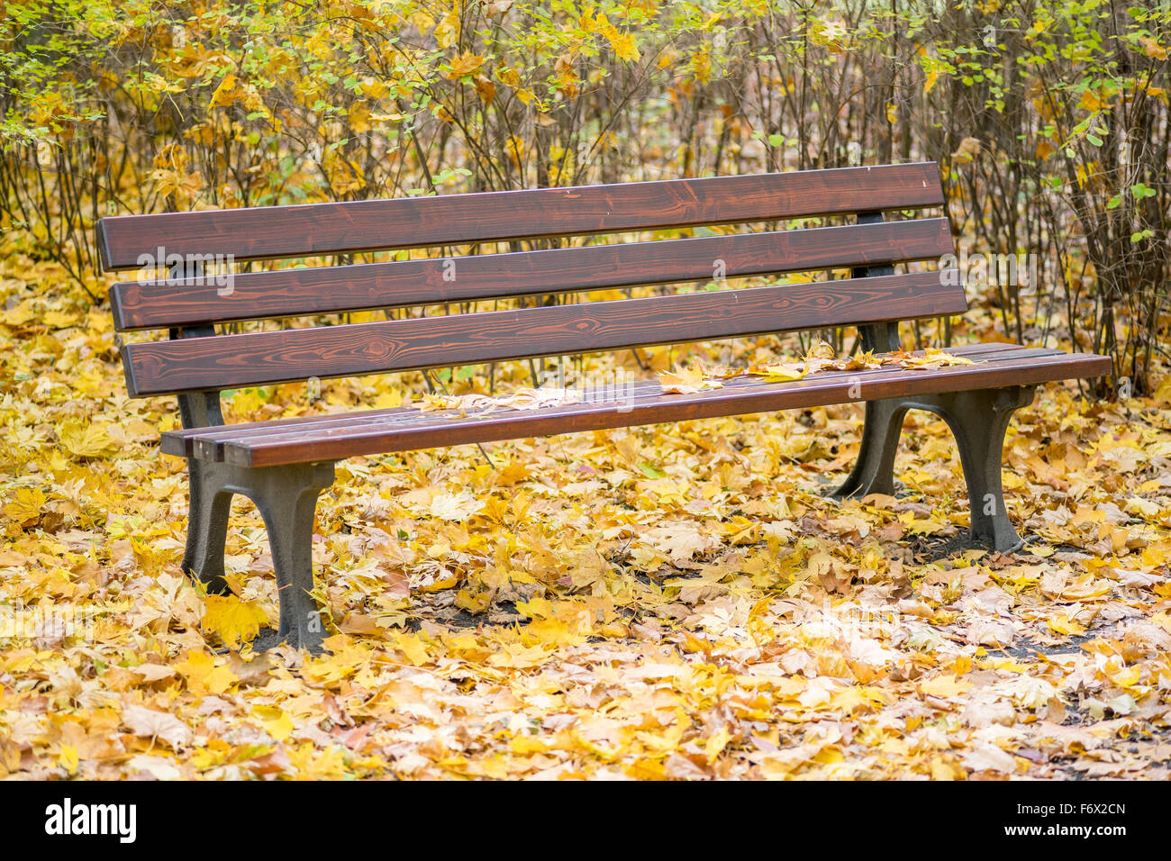 Bench covered with fallen autumn leaves Stock Photo - Alamy