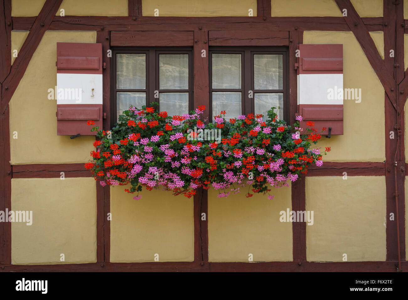The colour of the window boxes on the Kaiserburg castle in Nuremberg ...