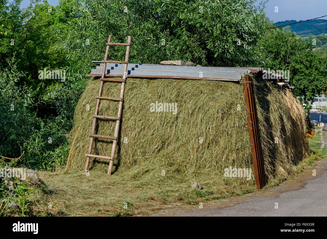 Step ladder hi-res stock photography and images - Alamy