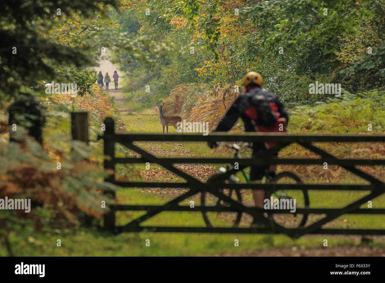 A Wild Bike Ride Stock Photo - Alamy