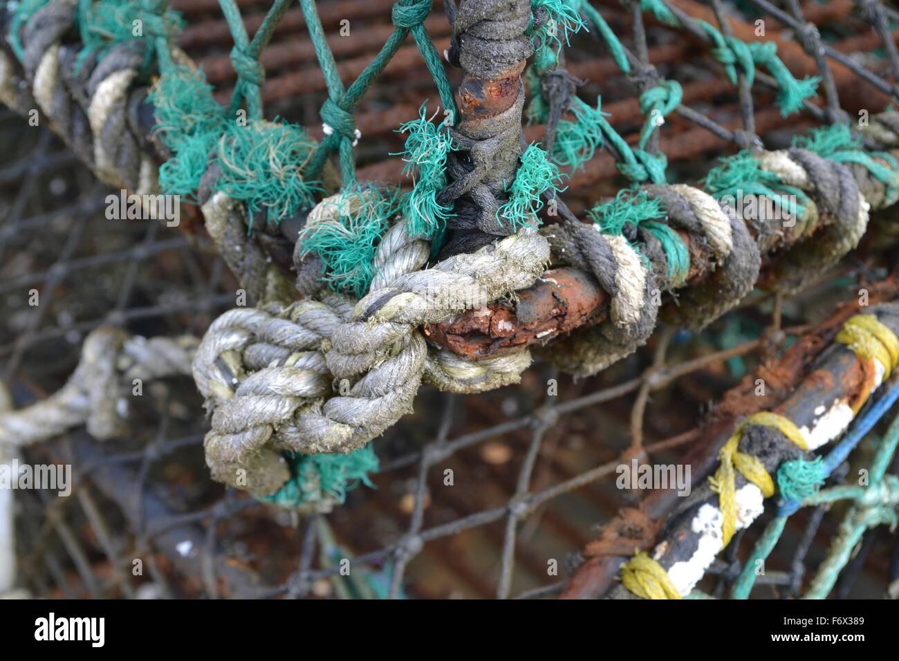 crab fishing box/net Stock Photo - Alamy