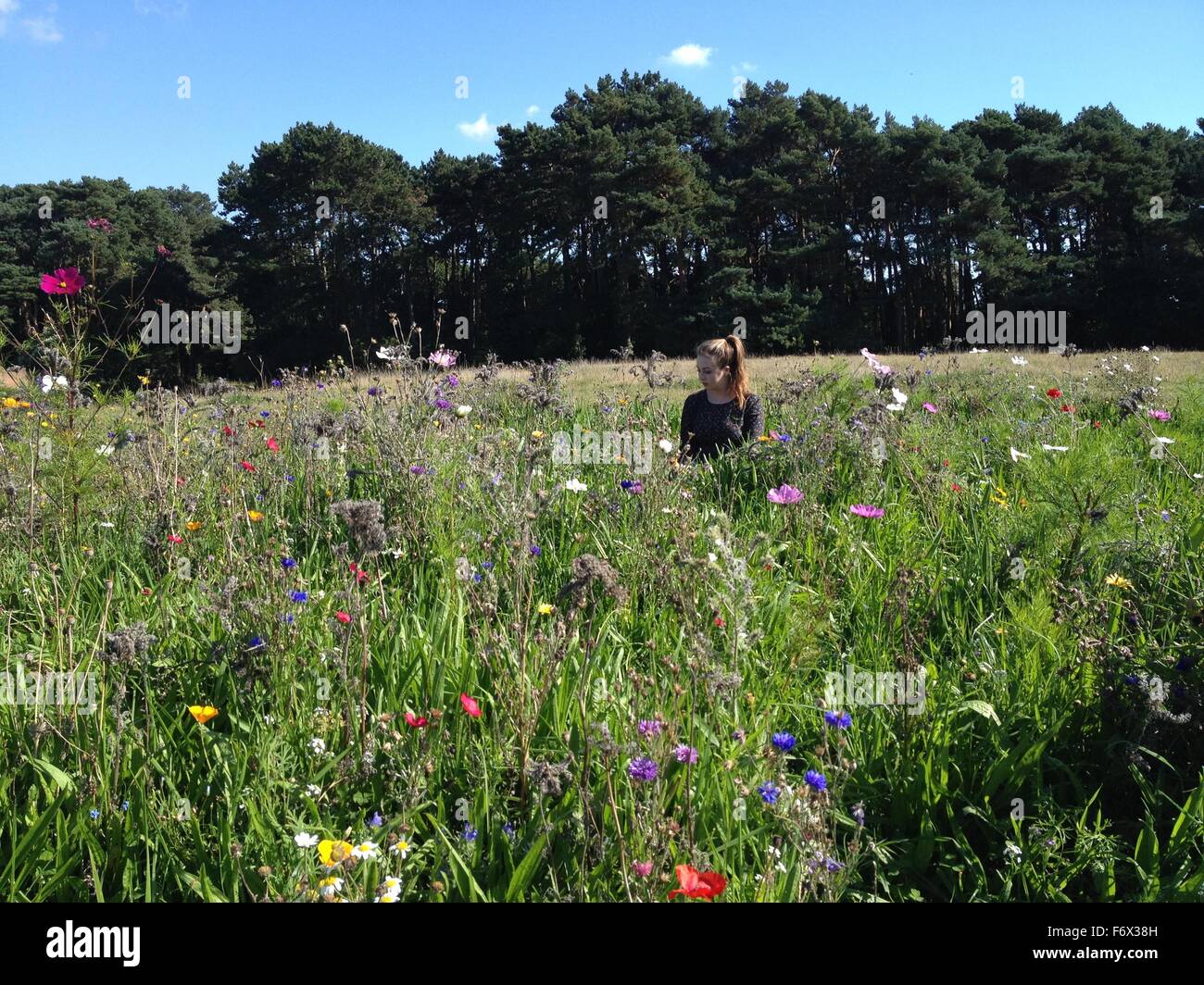 Girl sitting in flowers hi-res stock photography and images - Alamy