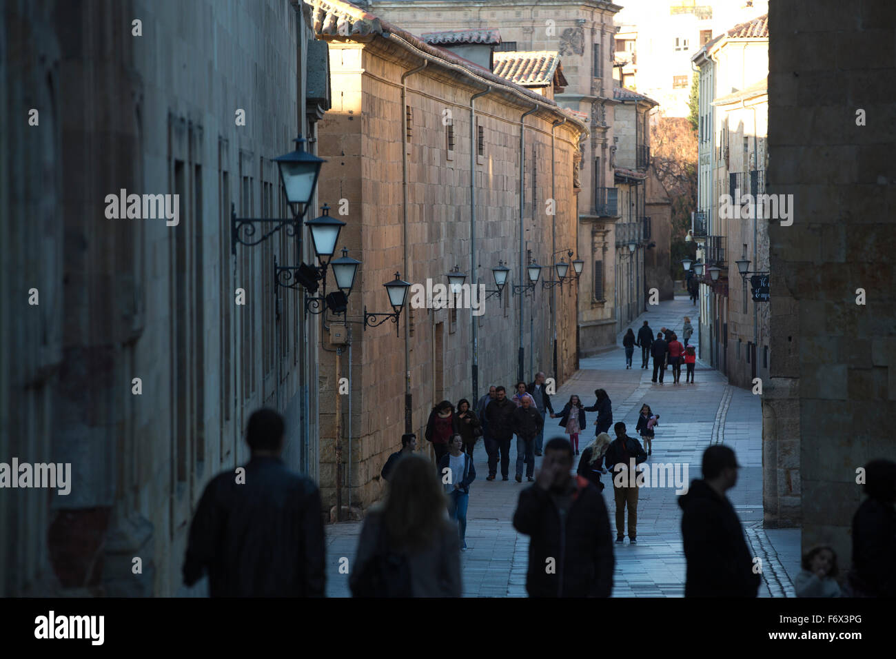 Palacio de Monterrey, Salamanca city in northwestern Spain, capital of ...