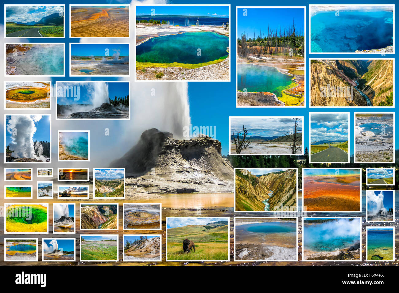 Yellowstone geyser buffalo hi-res stock photography and images - Alamy