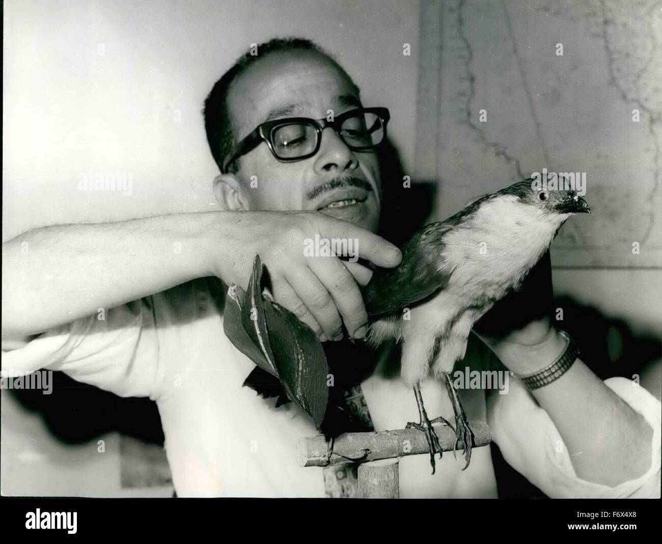 Embalming body hi-res stock photography and images - Alamy