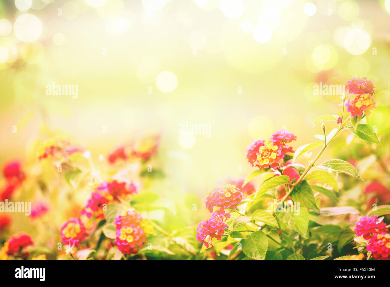 Beautiful spring background with free space for text Stock Photo - Alamy