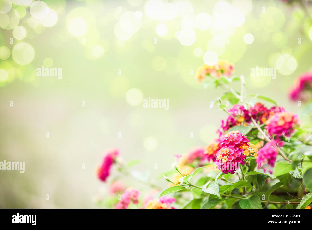 Beautiful spring background with free space for text Stock Photo - Alamy