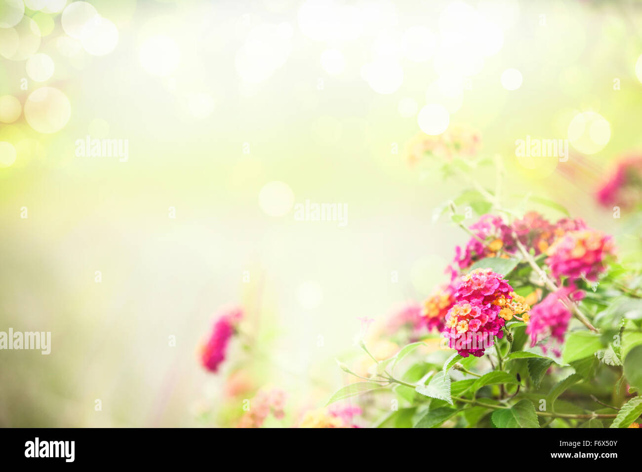 Beautiful spring background with free space for text Stock Photo - Alamy