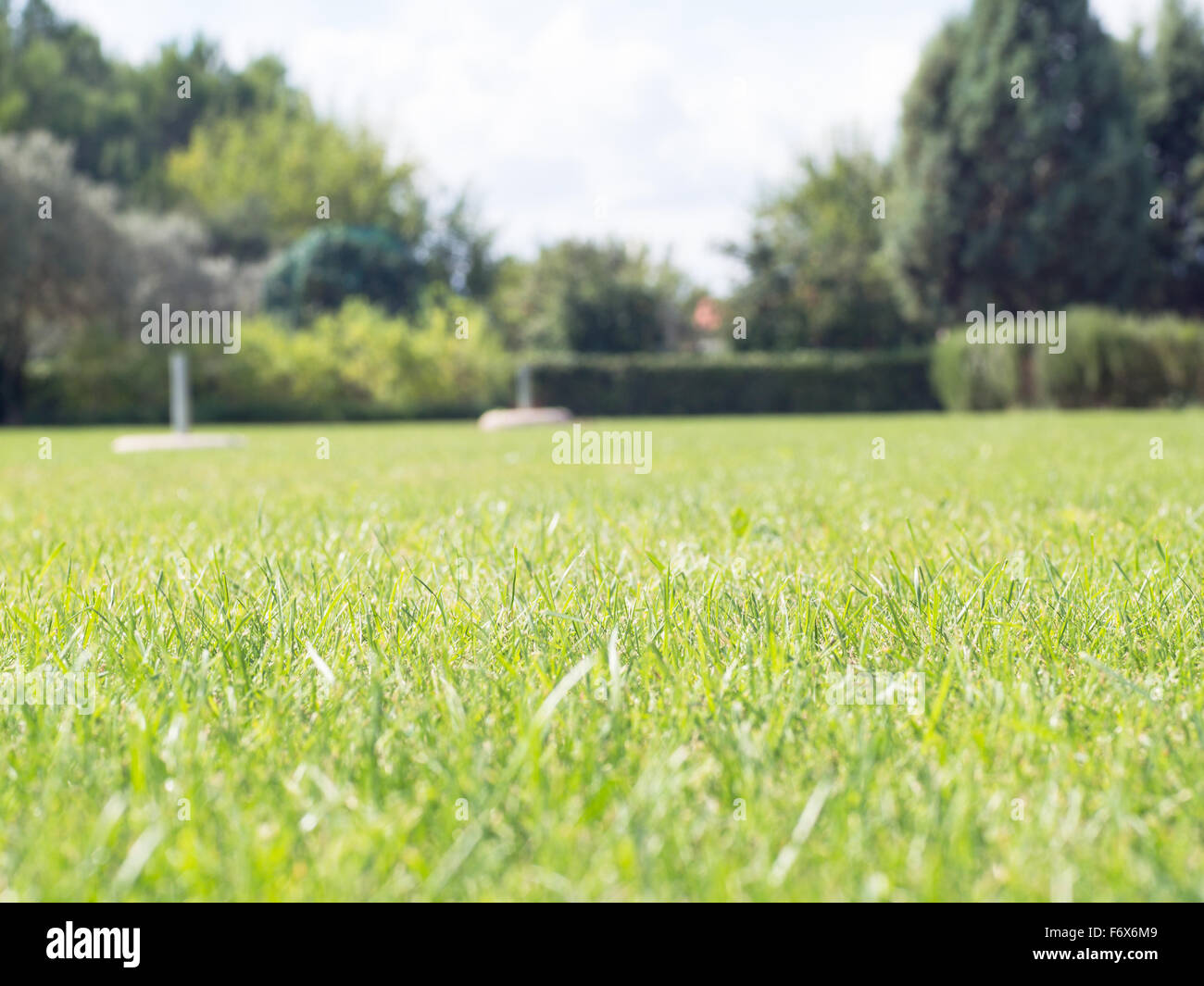 Insect view hi-res stock photography and images - Alamy