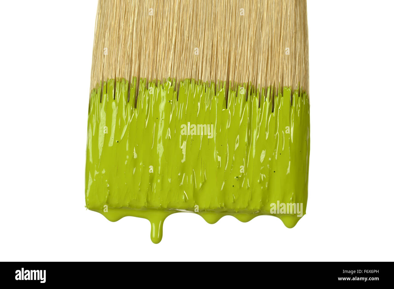 Paintbrush dripping green paint isolated over white background Stock ...