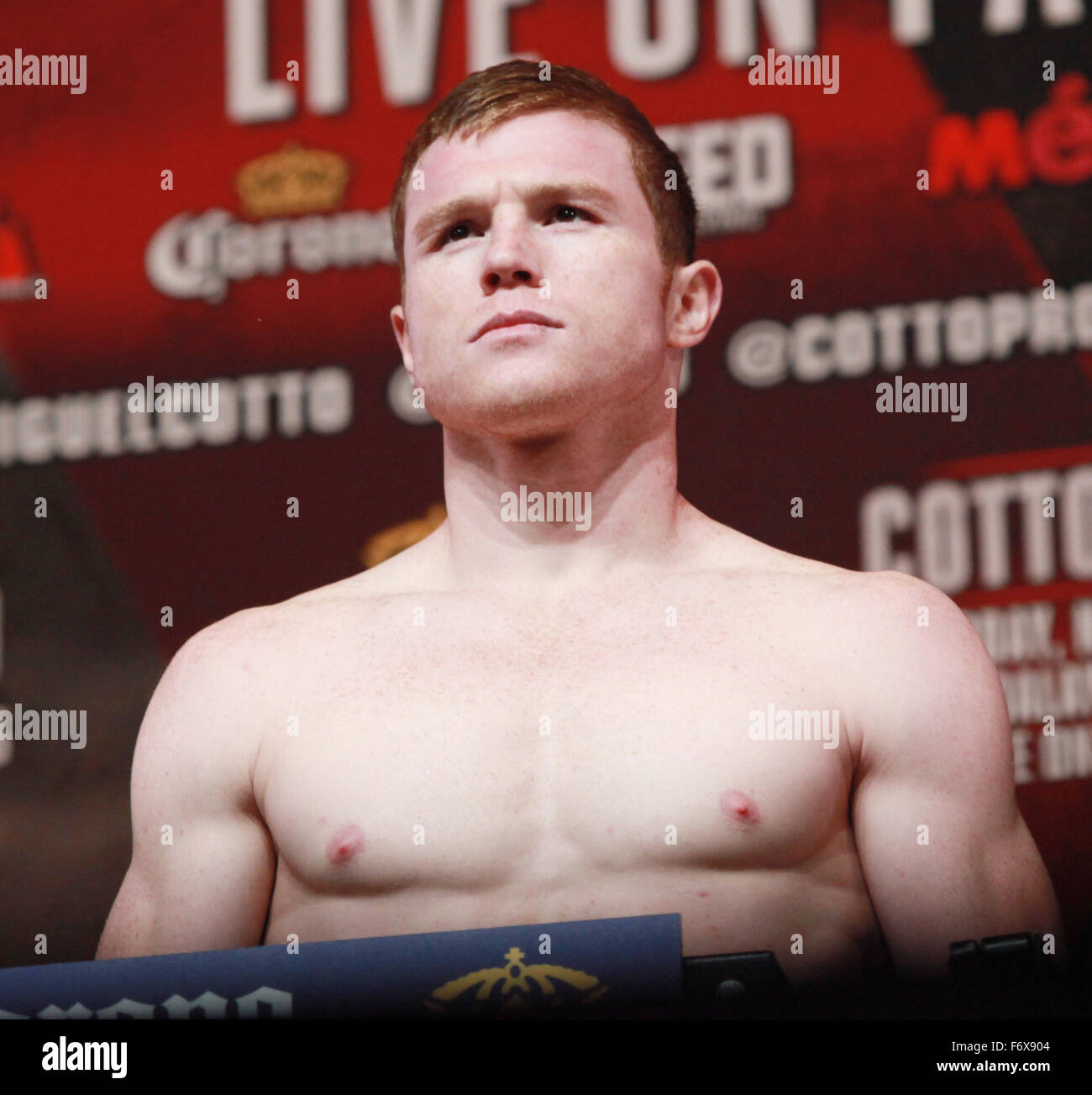 Las Vegas, Nevada, USA. 20th Nov, 2015. Boxer Saul Canelo Alvarez ...
