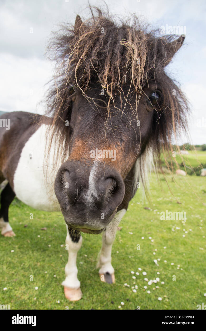 Messy hairdo hi-res stock photography and images - Alamy
