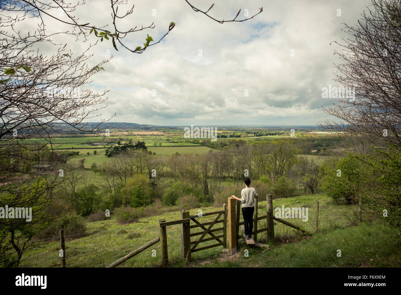 Walking in the English countryside; Tring, Borough of Dacorum ...