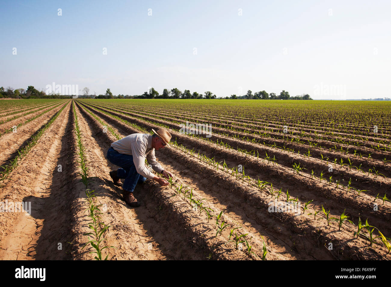 Furrow irrigation hi-res stock photography and images - Alamy