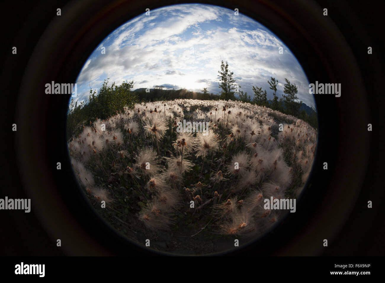 Fish eye view of Upper Knik River Valley and Chugach Mountains ...