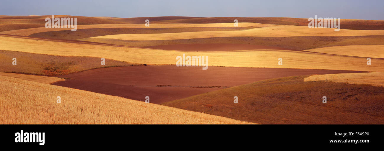 Contour fields with stripes of ploughed earth and cut grain are shown ...