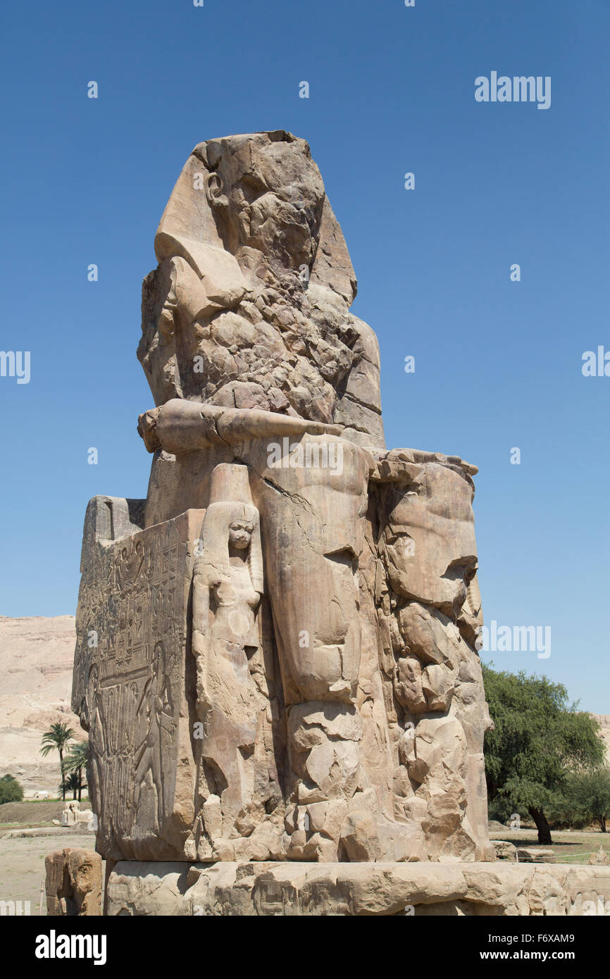 Colossus of Memnon; West Bank, Egypt Stock Photo - Alamy