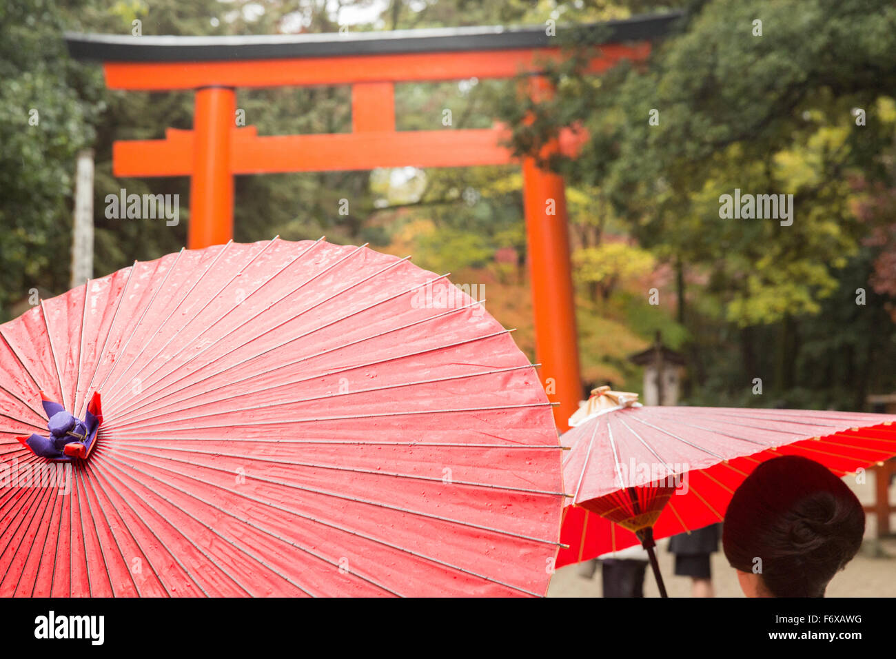 Japan Kyoto Traditionally dressed woman holding traditional wagasa oil ...